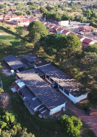 AMARILLO GOLD | Brasil Mineral