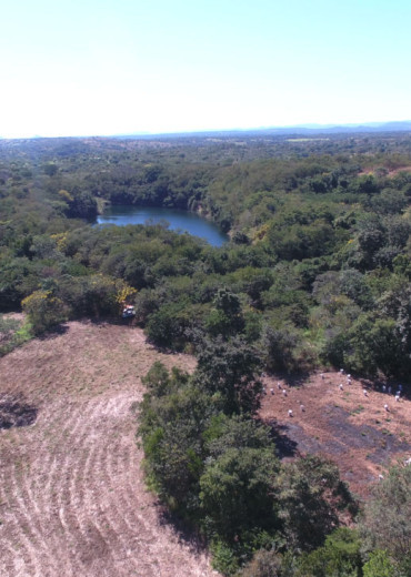 AMARILLO GOLD | Brasil Mineral